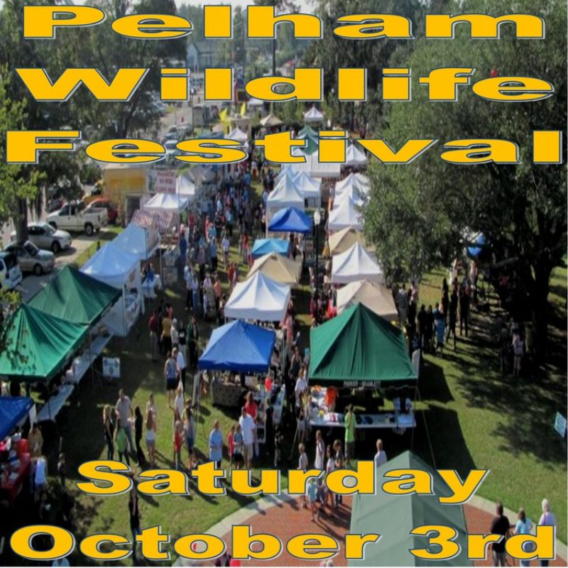 Pelham Wildlife Festival is Saturday – Sowegalive